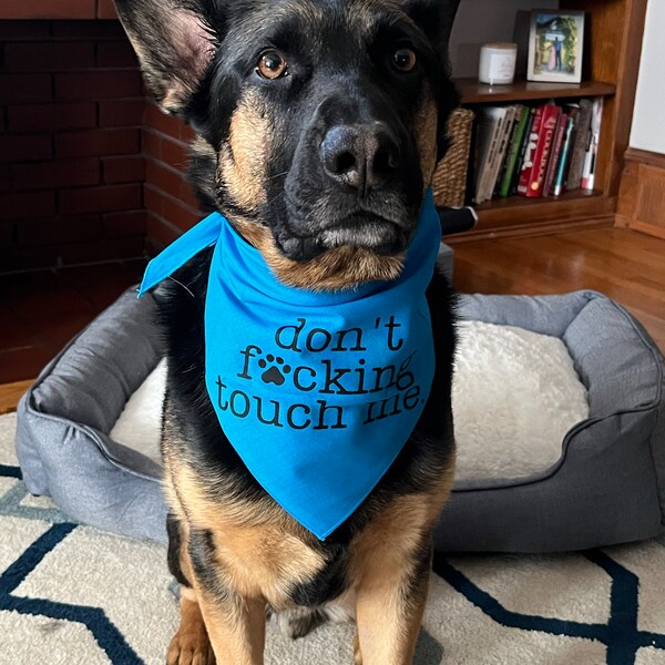 Do Not Pet Dog Bandana Caution Dog Bandana Triangle Dog Bandana nervous ...