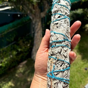 6 Hand Carved Wood Stand for Abalone Shell Display Stand for Abalone ...