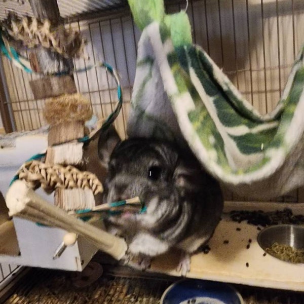 Original Full/single Sets of Cage Guards / Poop Guards SAFEST & MOST ...