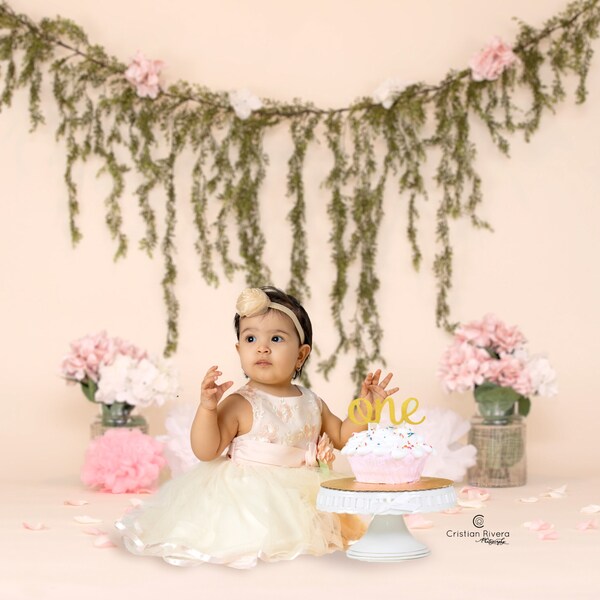 Cake Smash Digital Backdrop - Etsy