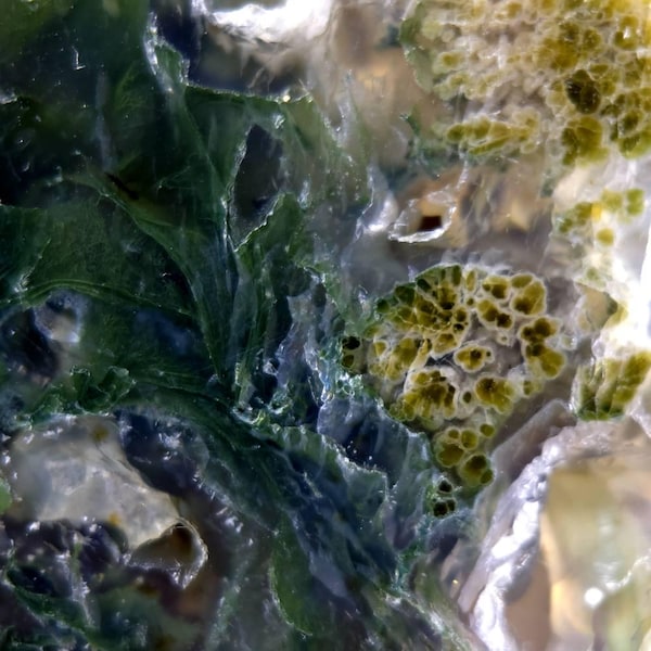 Beautiful Bortryoidal Plume Agate Combine Green Moss Agate Specimen ...