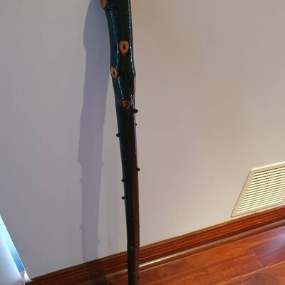 Irish Blackthorn Walking Stick 35 Inchs Long 3x2 Rootball Handle 500 ...