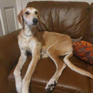 Adjustable World Map Ring Planet Earth Ring Gold/silver - Etsy