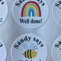 Personalised Loop Hole Tags Basket Labels,box Tags,vinyl Tags,organise ...