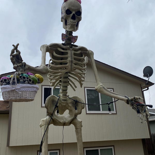 12 Ft Skeleton Pirate Costume!!!! (skelleton Not Included) - Etsy