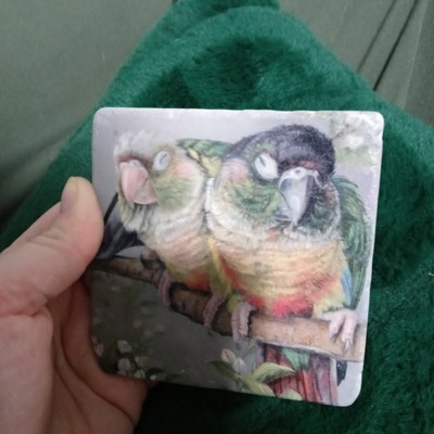 Funny Parrot Themed Bumper Stickers Choose From Over a Dozen - Etsy