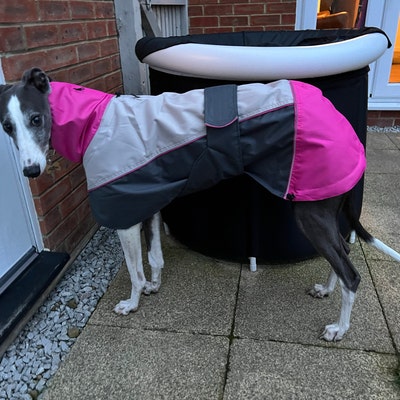 Greyhound, Lurcher & Whippet Lightweight Waterproof Rain Mac/rain ...