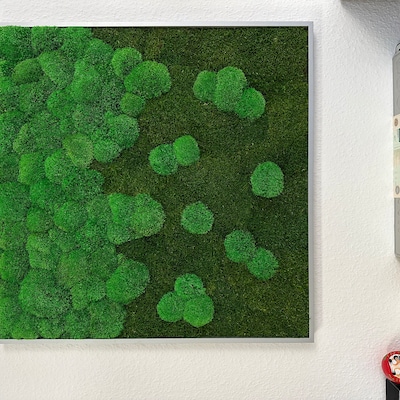 Moss Picture Moss Picture Gradient Moss Picture With Forest and Ball ...