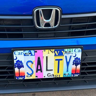 Salty License Plate, Beach Mixed License Plates, Realistic Looking, Not ...