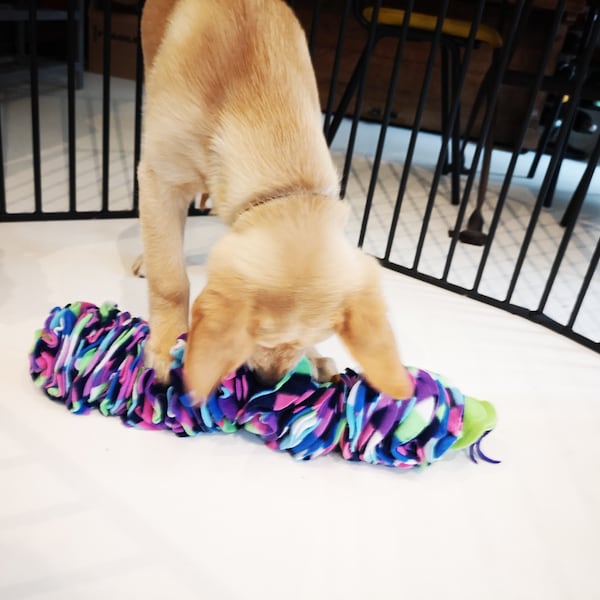 Large Snuffle Snake | Interactive Dog Puzzle | Long Lasting | Treat ...