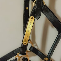 Solid Brass Saddle Plate , Halter Plate , Bridle Plate , Trophy Plate ...