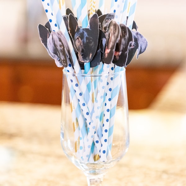 Custom Pet Straws, Dog Decorations, Personalized Photo 12 Count Paper ...