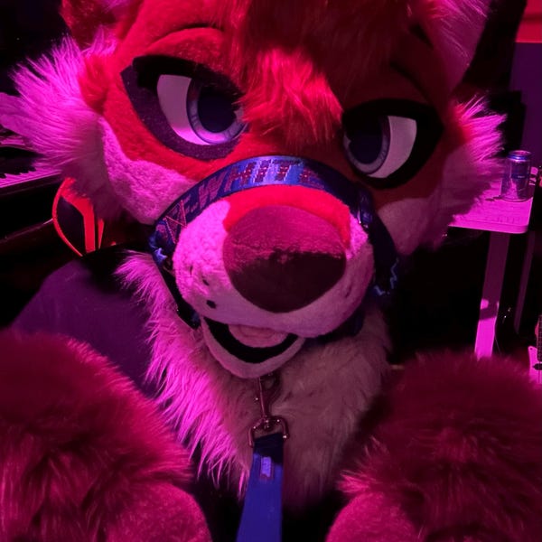 Pink Sherbet Themed Fursuit Hand Paws - Etsy