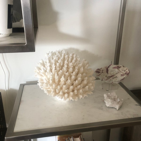 Beach Decor Table Coral - Coral - Seashells- Beach Decor - Coastal Home ...