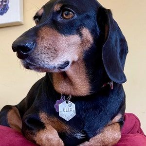 Dog Tag Camper Dog Tag Adventure Personalized Dog Tag Pet | Etsy