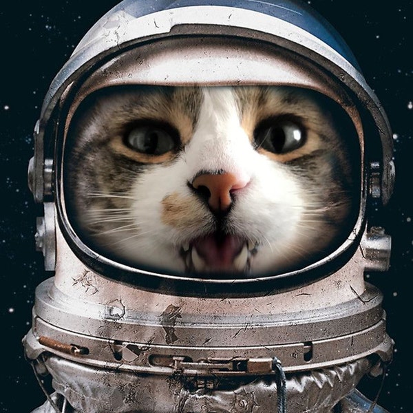 Photo Color Change, Photo Editing, Photoshop, Professional Photo ...