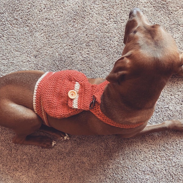 Dog Backpack and Harness - Crochet Pattern - PDF - Etsy