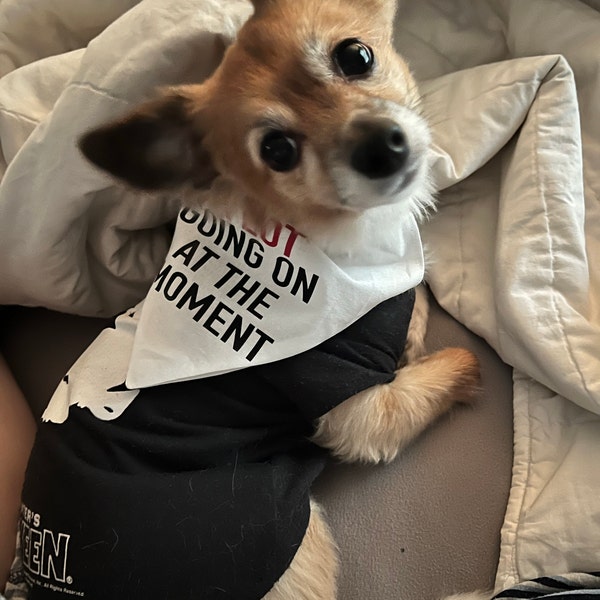 Hand Painted Banners, Birthday Banner, Personalized Banner, Event ...