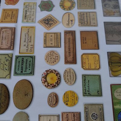 The Expert Botanist Kit, Vintage, Printable Labels, Junk Journal ...