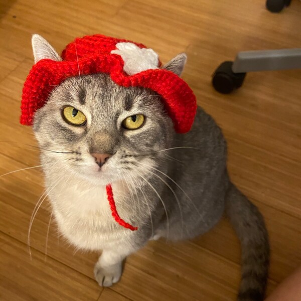 Summer Hat for Cat, Red Brim Kitty Hat, Flower Hats for Cats, Cat ...