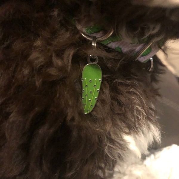 Collar Charms - Food Charms - Snacks - Extra Charms for Cat Collars ...