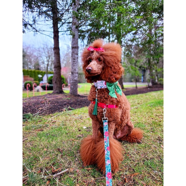 Large 16MM White Alphabet Letter Silicone Bead Mix & Match You Choose ...