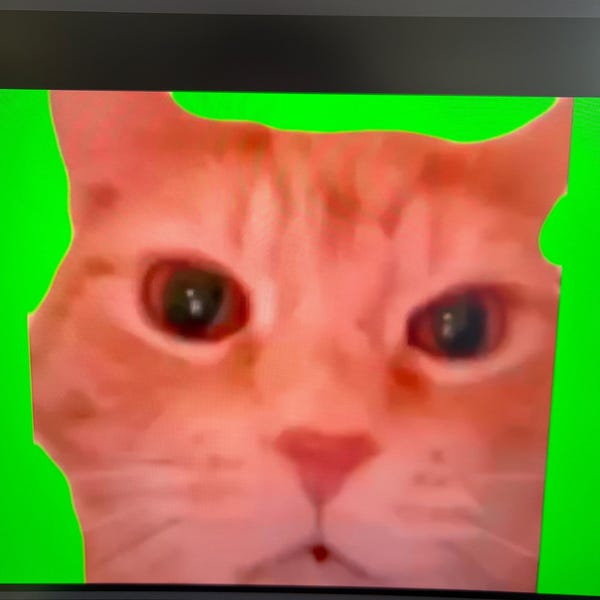 NEW 144 Popular Tiktok Memes Green Screen MP4 Files to Create Funny ...