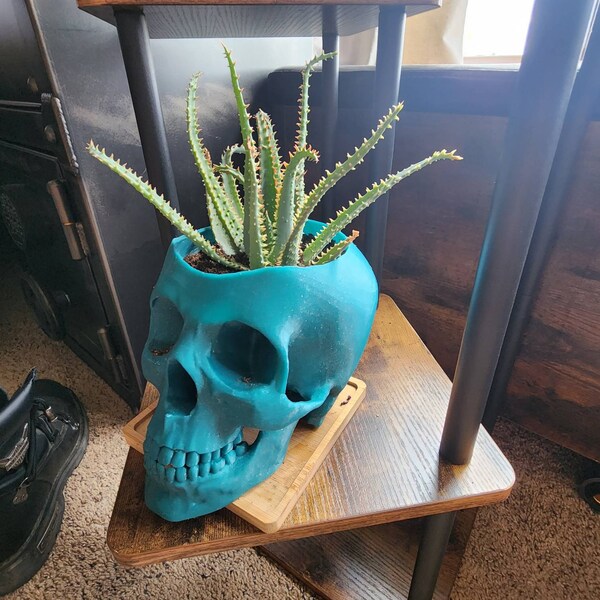 Whale Planter, Succulent Pot, Sea Creature, 3D Printed - Etsy