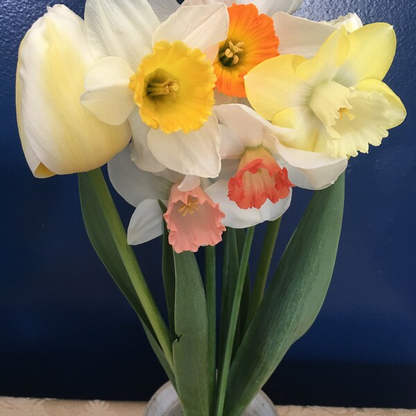 Vintage Mccoy Green Pottery Frog Toad Plant Dish or Sponge Dish Holder ...