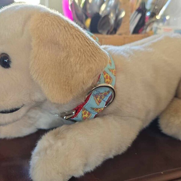 Banjo Dog Collar, Harness or Leash With Personalized Engraved Buckle ...