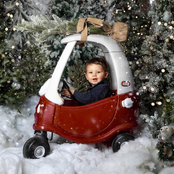 Flying Tulle Fabric Brushes for Photo Editing, Realistic Tulle Veil ...