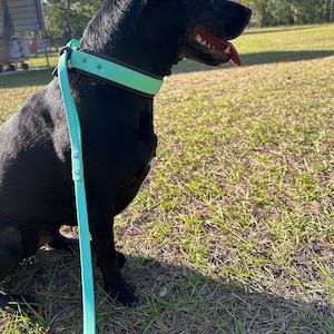 The Vera Bling Biothane® Collar Beta Biothane® Collar Gemstone Collar ...