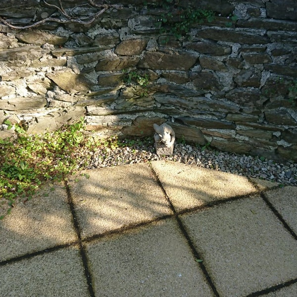 Ernie - the Gargoyle Stone Garden Ornament - Etsy UK