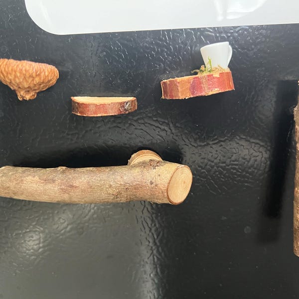 Dried Crepe Myrtle Seed Pods in Assorted Sizes, Natural Dried Mini ...