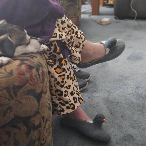 Conure Bird Custom Slippers, Eco Wool Flat Shoes, Natural, Felting ...