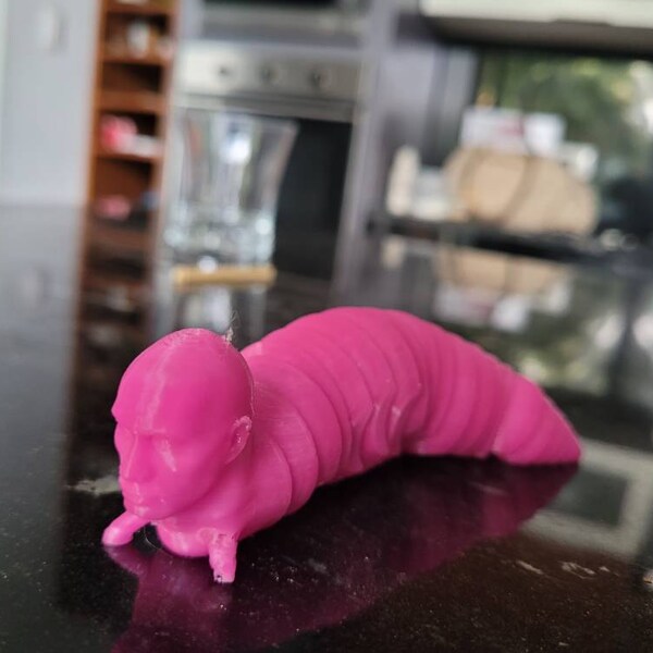 The Rock Fidget Slug - Etsy