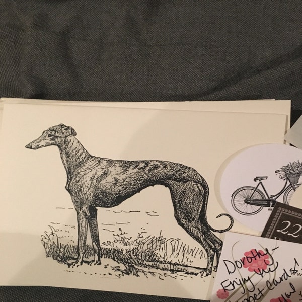 Whippet Greyhound Dog Note Cards Set of 10 With Matching Envelopes - Etsy