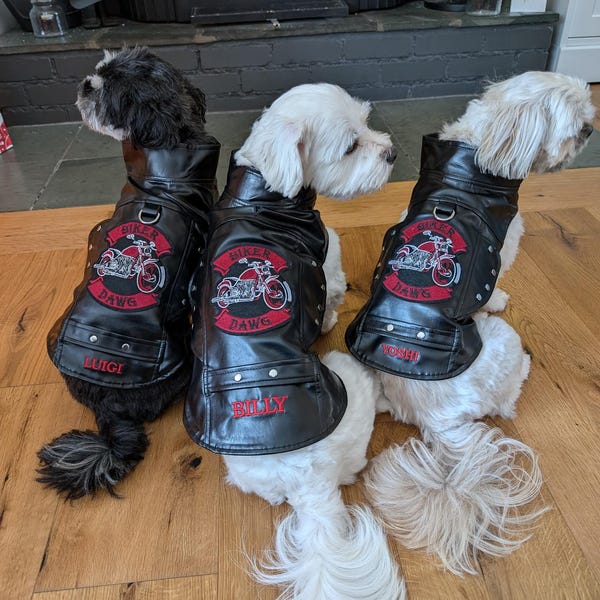 CUSTOM Dog Motorcycle Jacket | Biker Dog Jacket | Embroidered ...