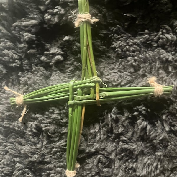 Devil Pod / Bat Nut / Water Caltrop /trapa Bicornis - Protective Amulet ...