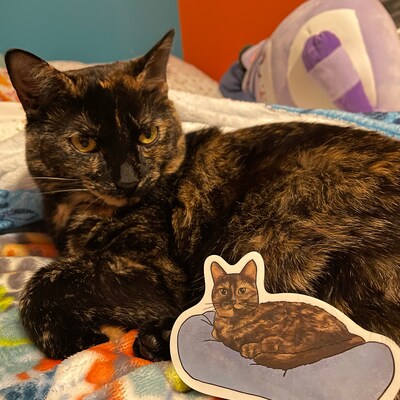 Tortoiseshell Cat Sticker 4.14x3 In, Tortie Cat Sticker, Hand Drawn Art ...