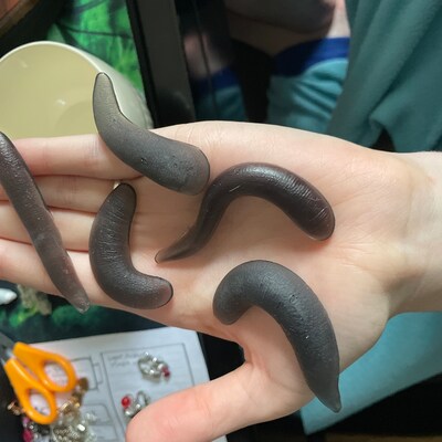 Larp Safe Rubber Leeches, Larp Medic, 5 Pack, Leach Healer, Plague ...