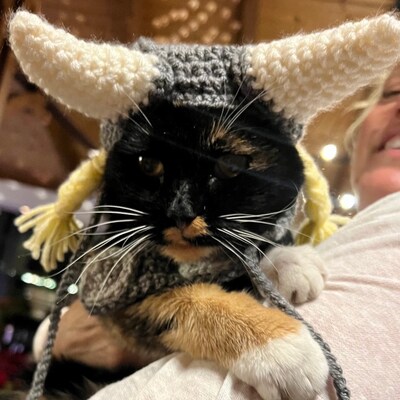 Brunhilde Vikings Valkyries Wagner Opera Hats for Cats - Etsy