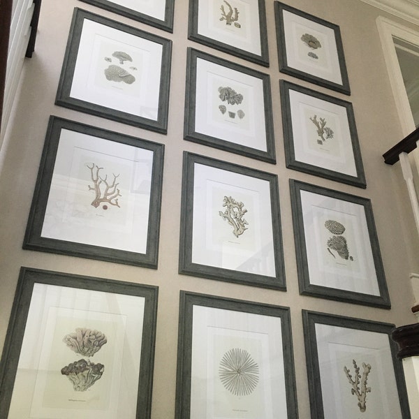 12 Neutral Sea Coral Print Set Naturalist Collection on Watercolor ...