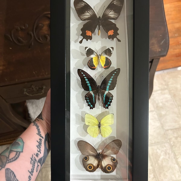 Handmade Wooden Birdhouse Bird Box Tree Bark Natural Garden Drifwood ...