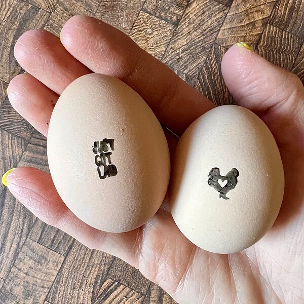 Mini Egg Safe Ink Pad - Black - Size: 1.75" X 2.5" - Food Safe Ink Pad ...