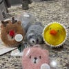 Handmade Dish Scrubby - Rubber Duck Design | Crocheted Scrubber ...