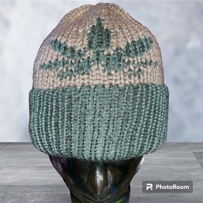 PDF DIGITAL PATTERN T-rex Dinosaur Infant to Adult Size Beanie Pattern ...