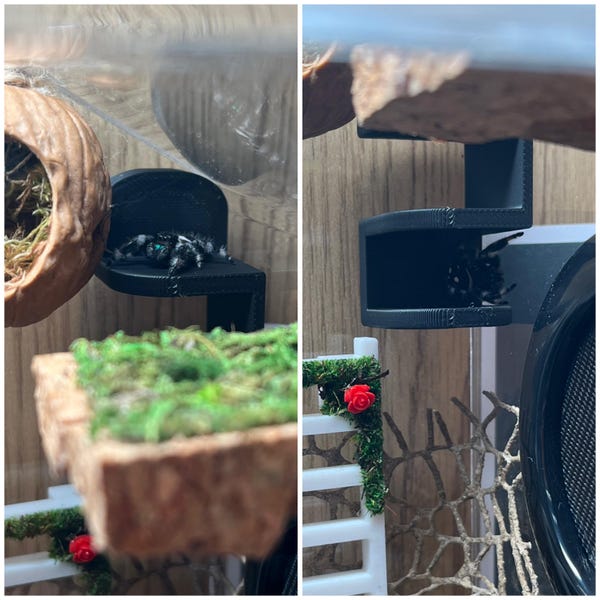 Flexi Magnetic Jumping Spider Bridge *built in Magnet* - Etsy