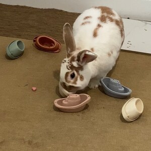 Bunny O's Cereal Treat, Rabbit Fruit Loops Inspired Treat, Small Animal ...