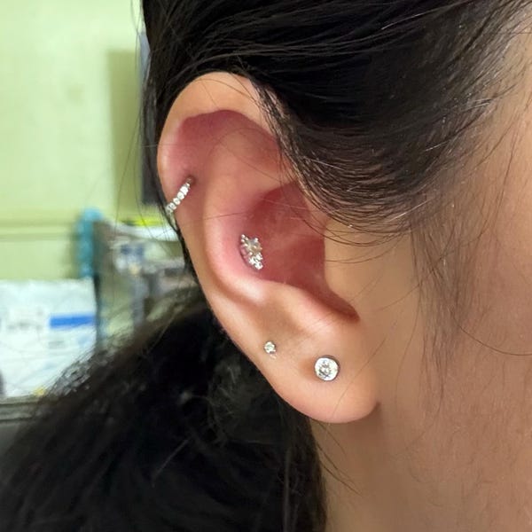 16G Rose Flower Butterlfy Daith Earring/septum Jewelry/cartilage Hoop ...